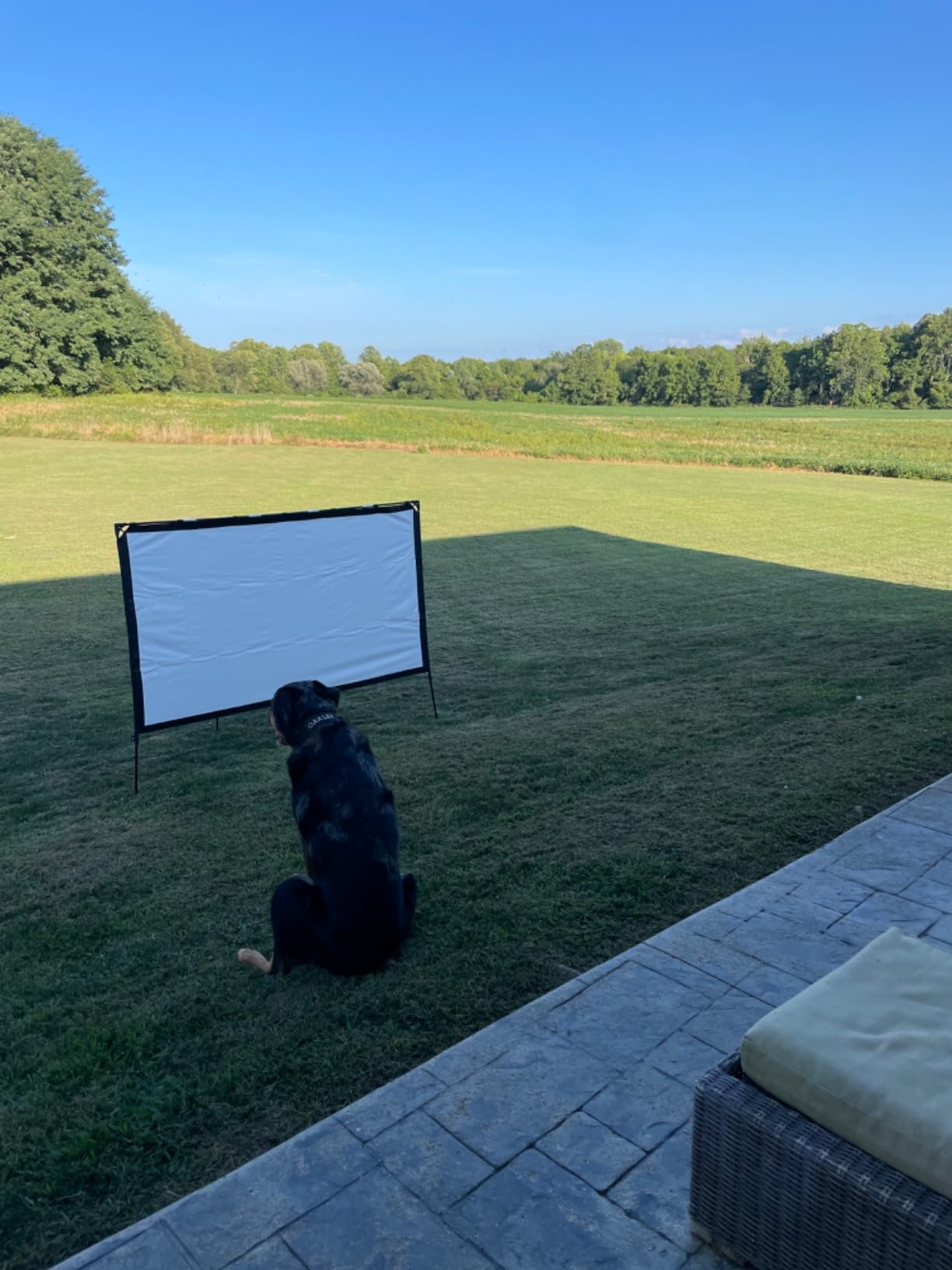 Amazon.com: Modern Innovations 80 Inch HD Outdoor Movie Screen ...