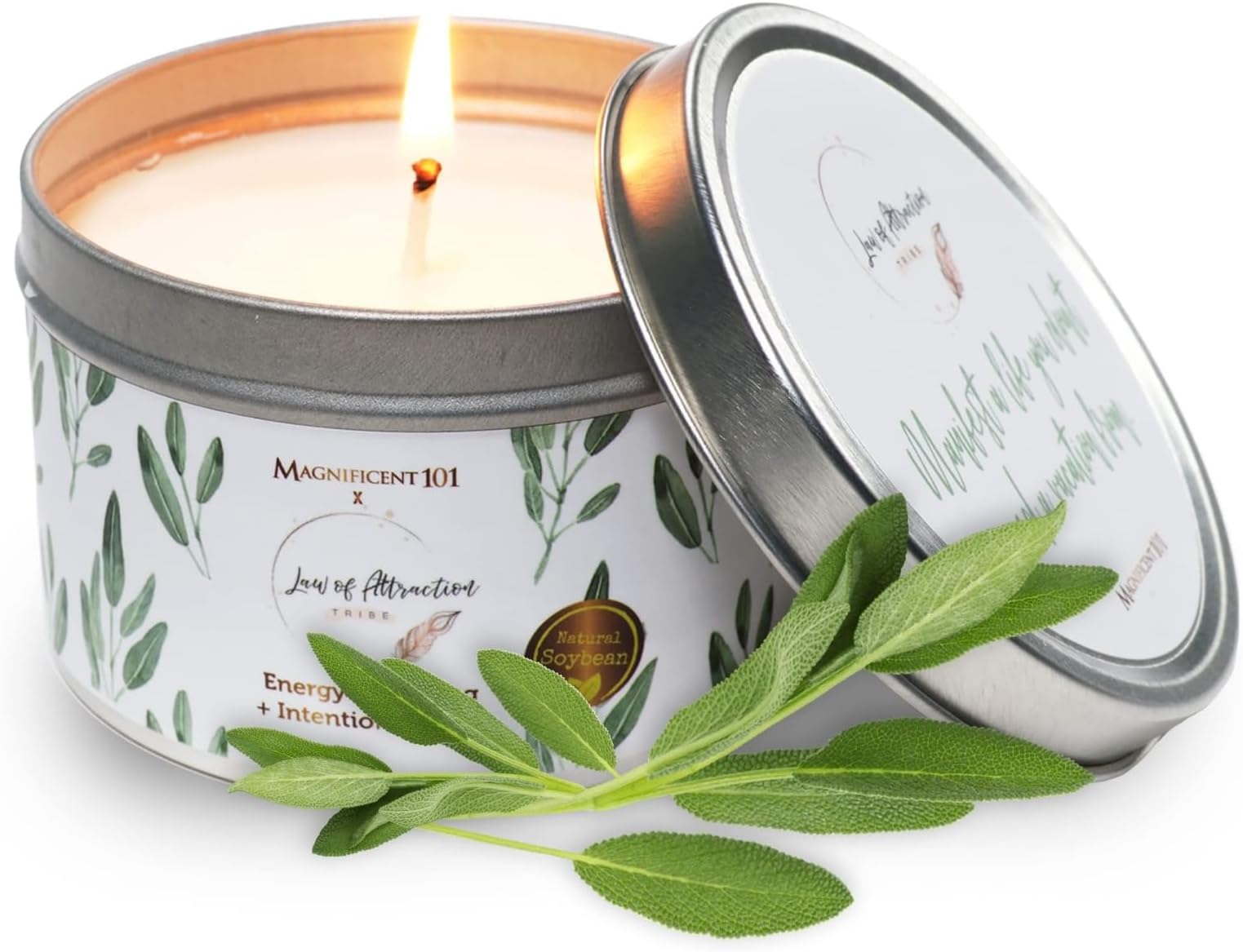 Amazon.com: Pure SAGE Magnificent 101 Long Lasting Pure White Sage ...