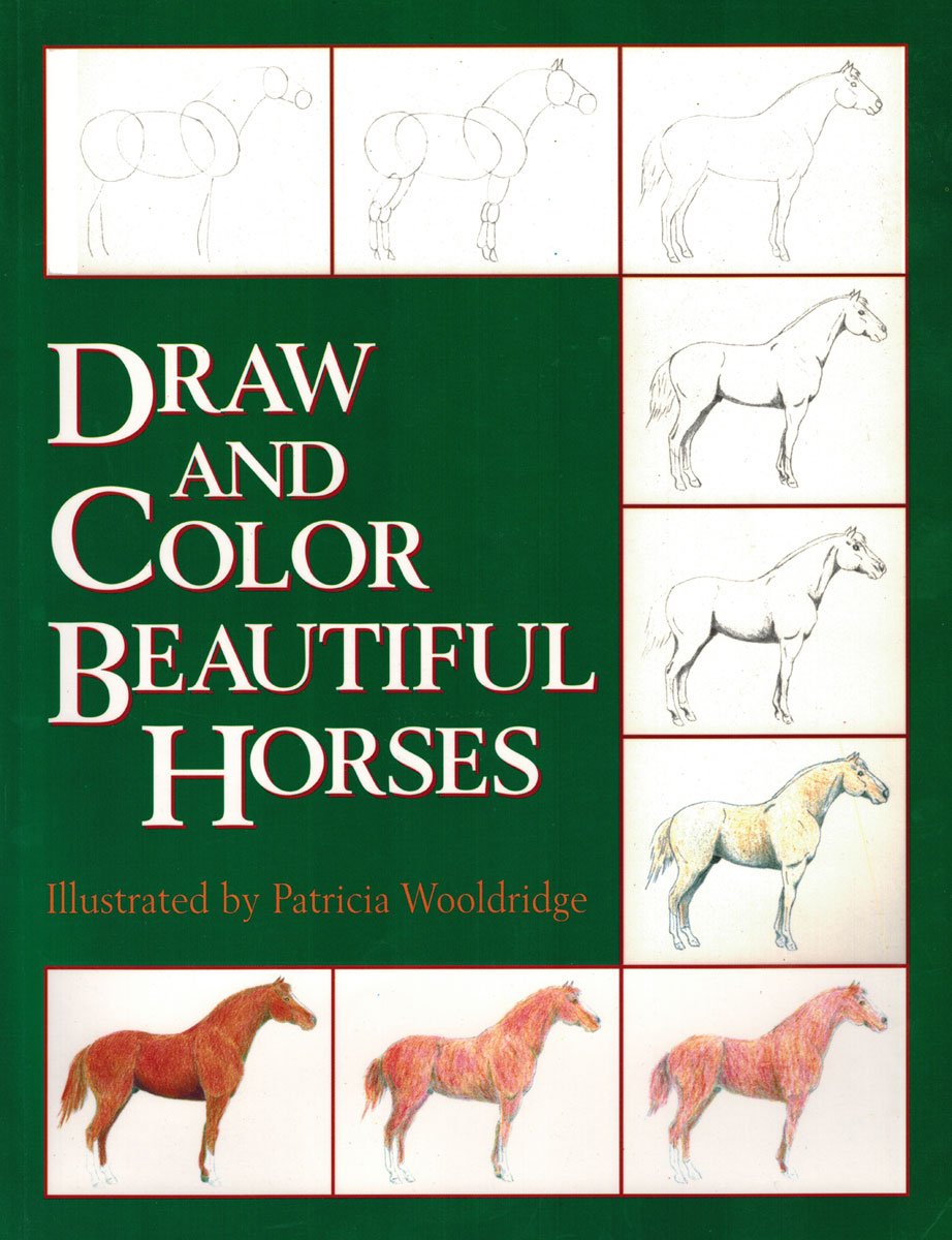 Draw and Color Beautiful Horses: Breakthrough Publications Inc ...