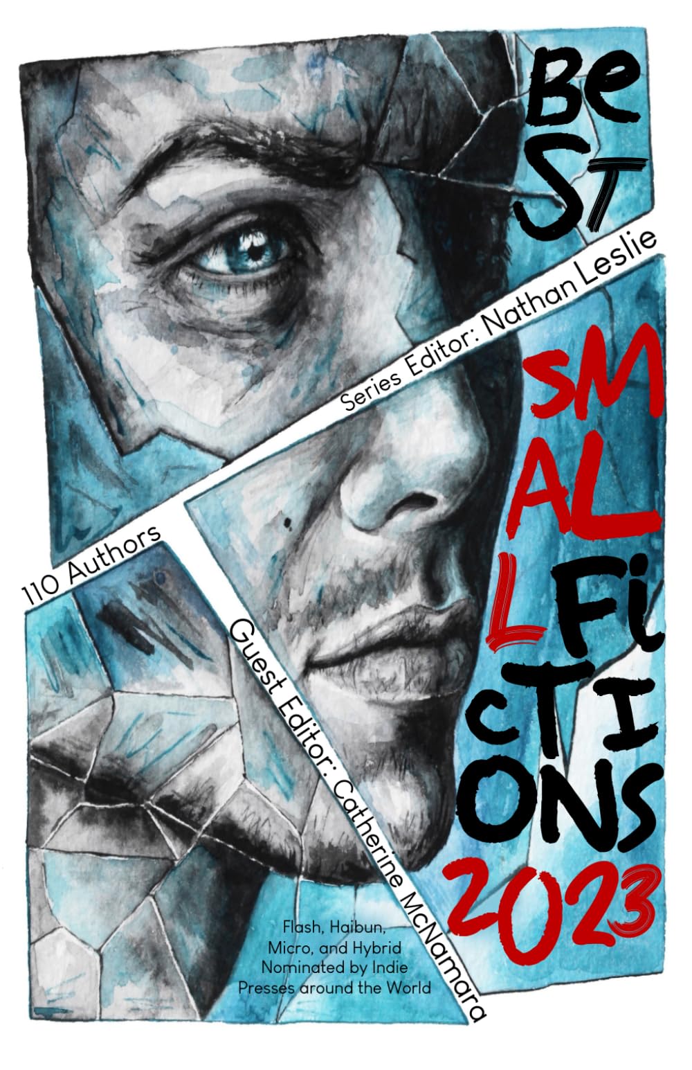 Best Small Fictions 2023: McNamara, Catherine, Frazier, Andrea ...