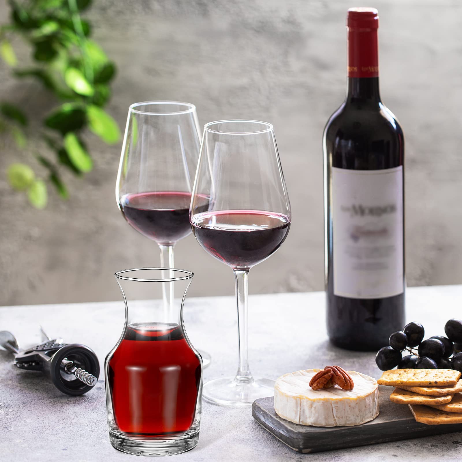 Snapklik.com : Remagr 12 Pack Single Serving Wine Carafe Glass Small ...