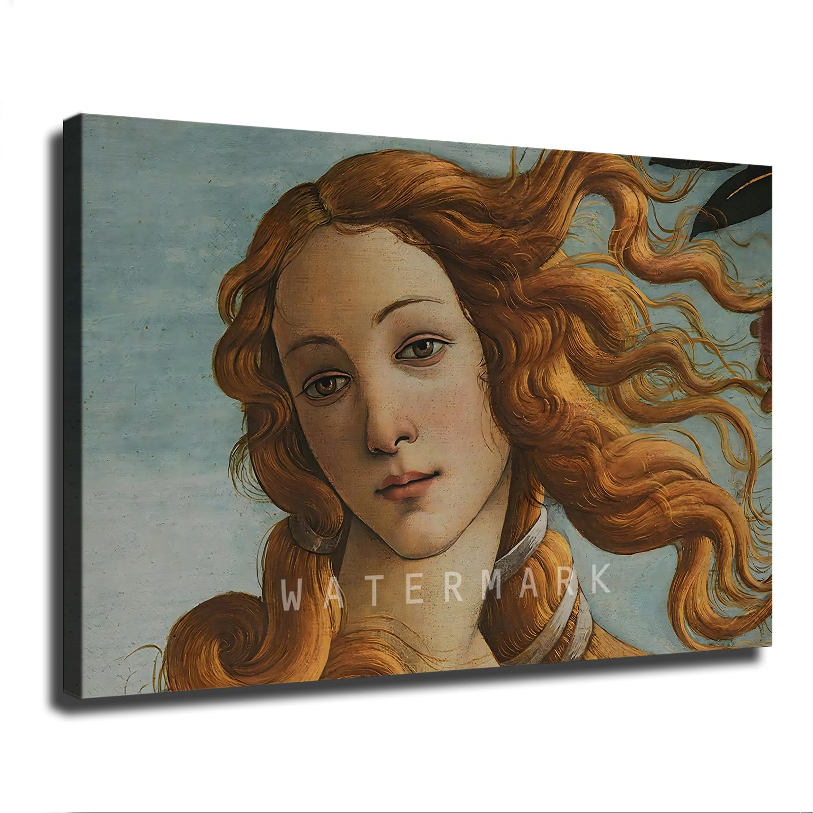 Botticelli Birth Of Venus Face