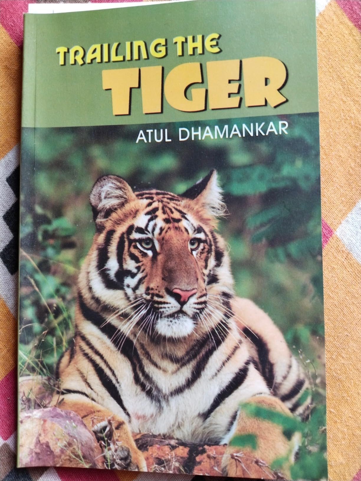 Buy Trailing The Tiger [Paperback] Atul Dhamankar Book Online at Low ...