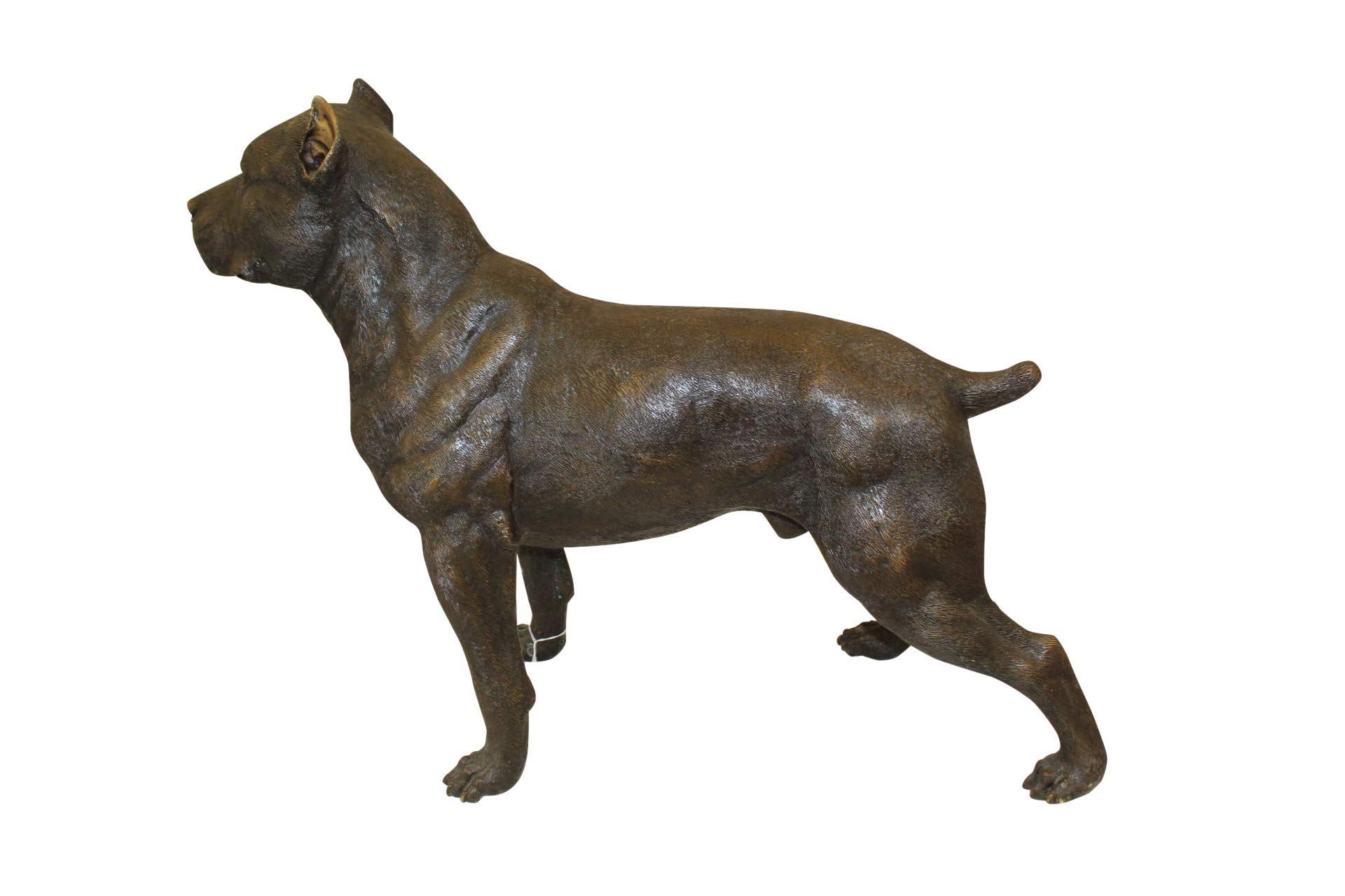 Amazon.com: Pit Bull Dog Bronze Statue - Size: 33" L x 11" W x 26" H ...