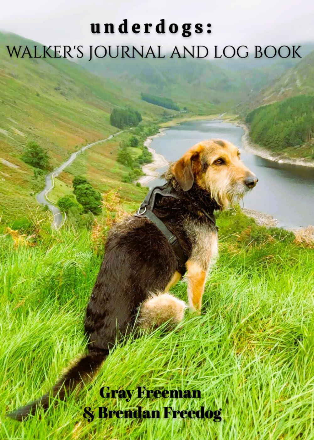 underdogs: A WALKER'S JOURNAL AND LOG BOOK: Amazon.co.uk: Freeman, Gray ...