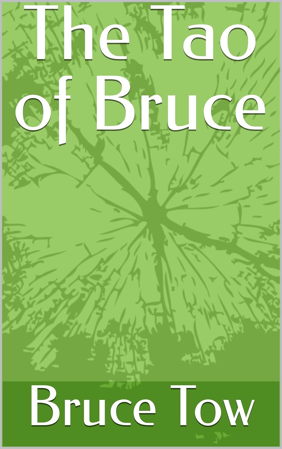 Amazon.com: The Tao of Bruce eBook : Tow, Bruce: Kindle Store
