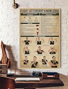 Amazon.com: Pilot Flight Attendant Knowledge Poster Room Wall Art Decor ...