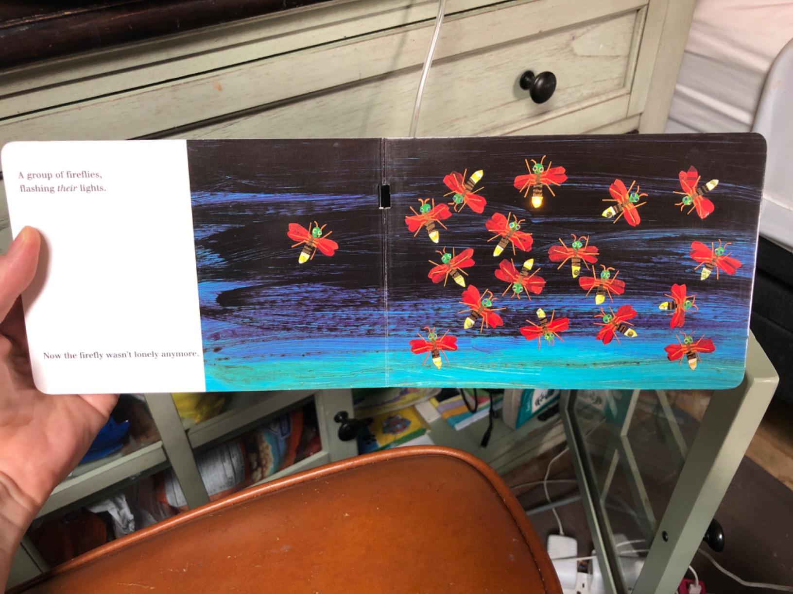 The Very Lonely Firefly board book: Eric Carle: Amazon.com: Books