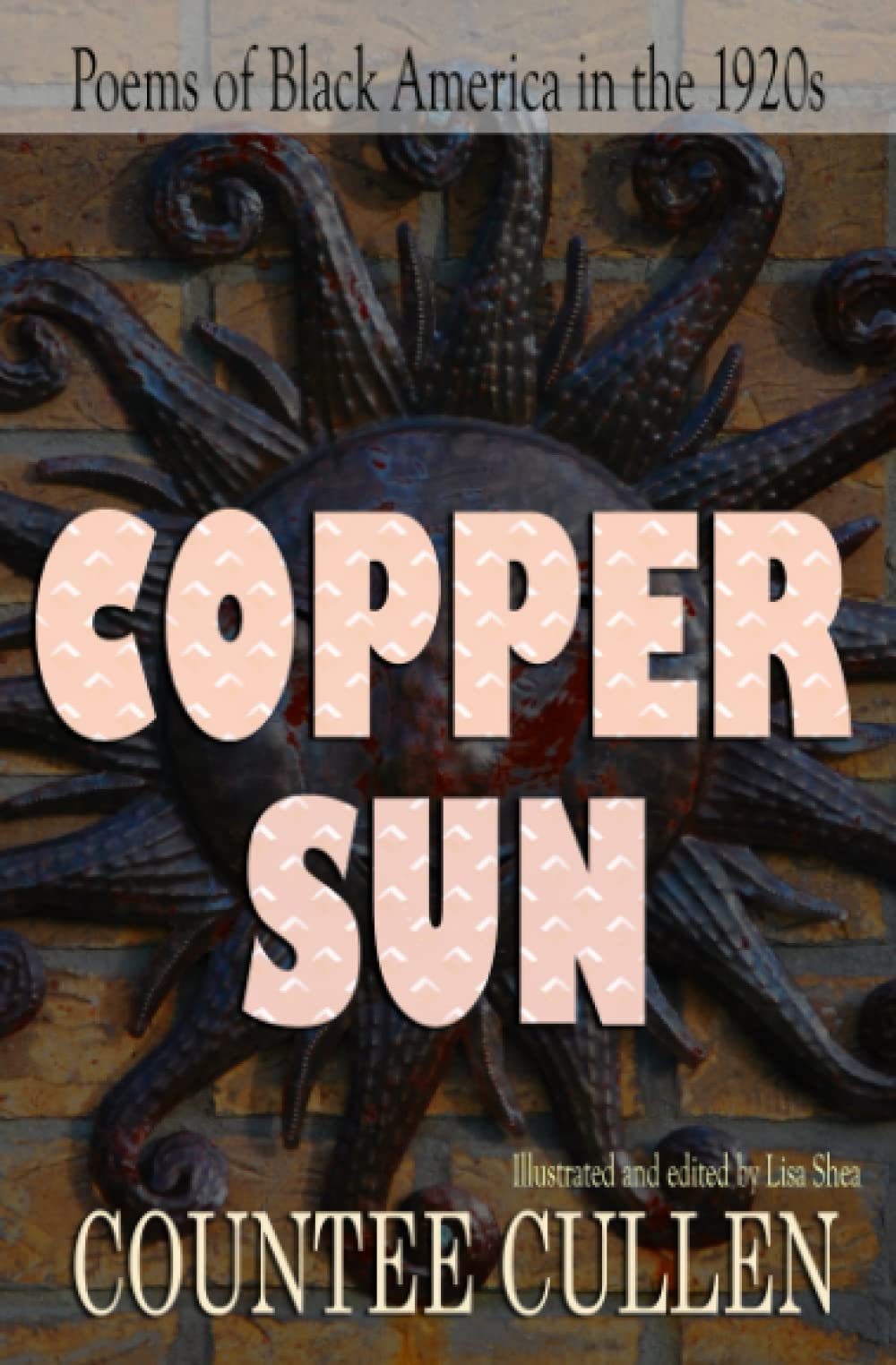 Amazon.com: Copper Sun - Poems of Black America in the 1920s ...