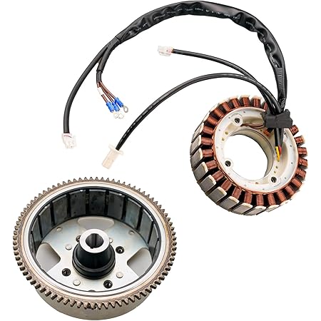 Amazon.com: Tapa Inverter Module for Harbor Freight Predator 2000/1600 ...