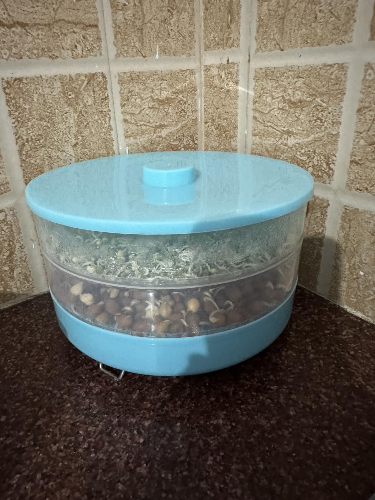 Buy AMIT STEEL HOUSE PREMIUM Plastic Sprout Maker Box - Sprout Maker ...