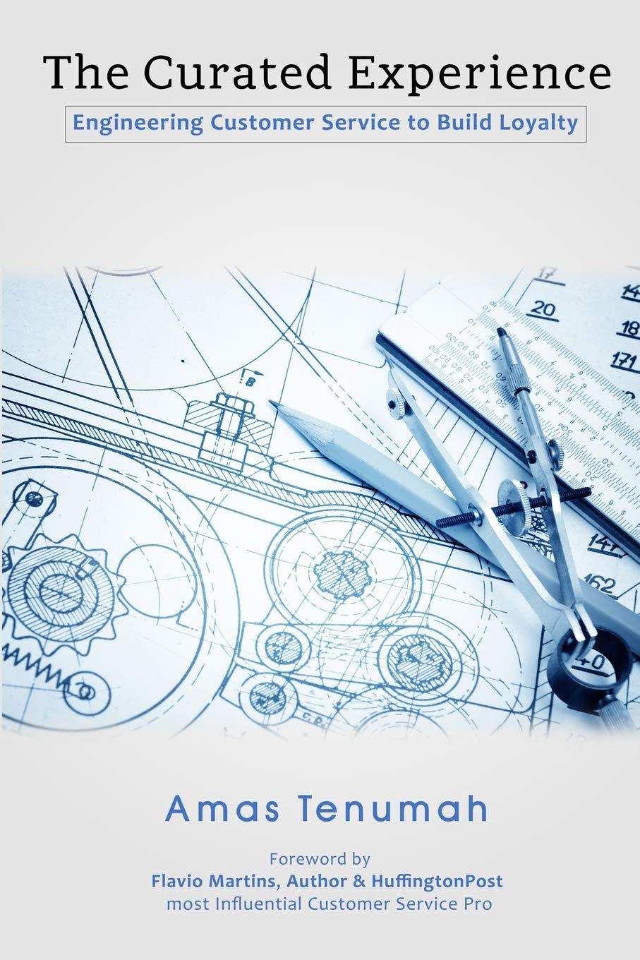 The Curated Experience: Engineering Customer Service to Build Loyalty ...