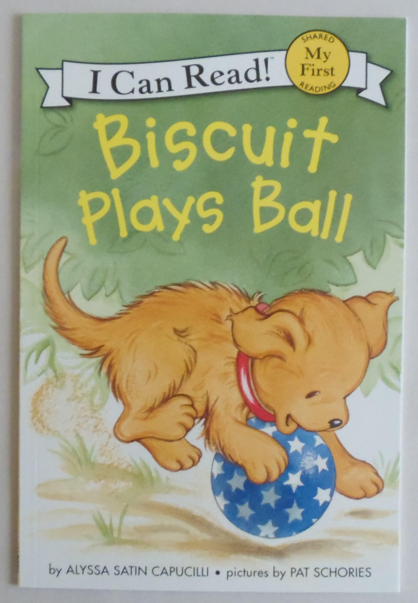 Amazon.com: Biscuit Plays Ball (My First I Can Read): 9780061935022 ...