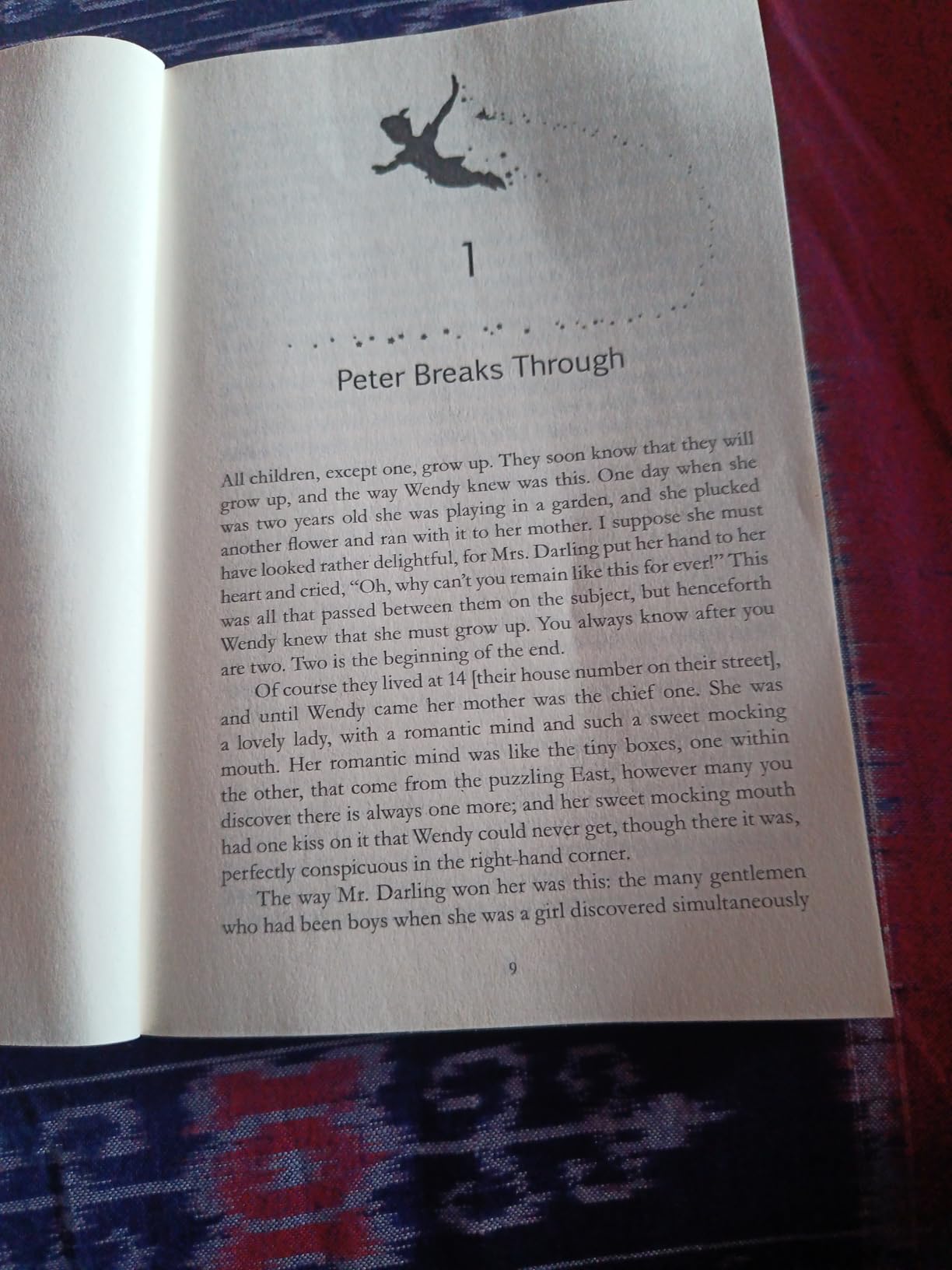 Peter Pan (Puffin Classics) : Barrie, J M: Amazon.in: Books