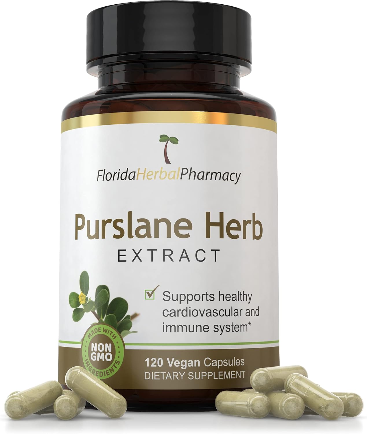 Amazon.com: Florida Herbal Pharmacy, Purslane Herb Extract Capsules 10: ...