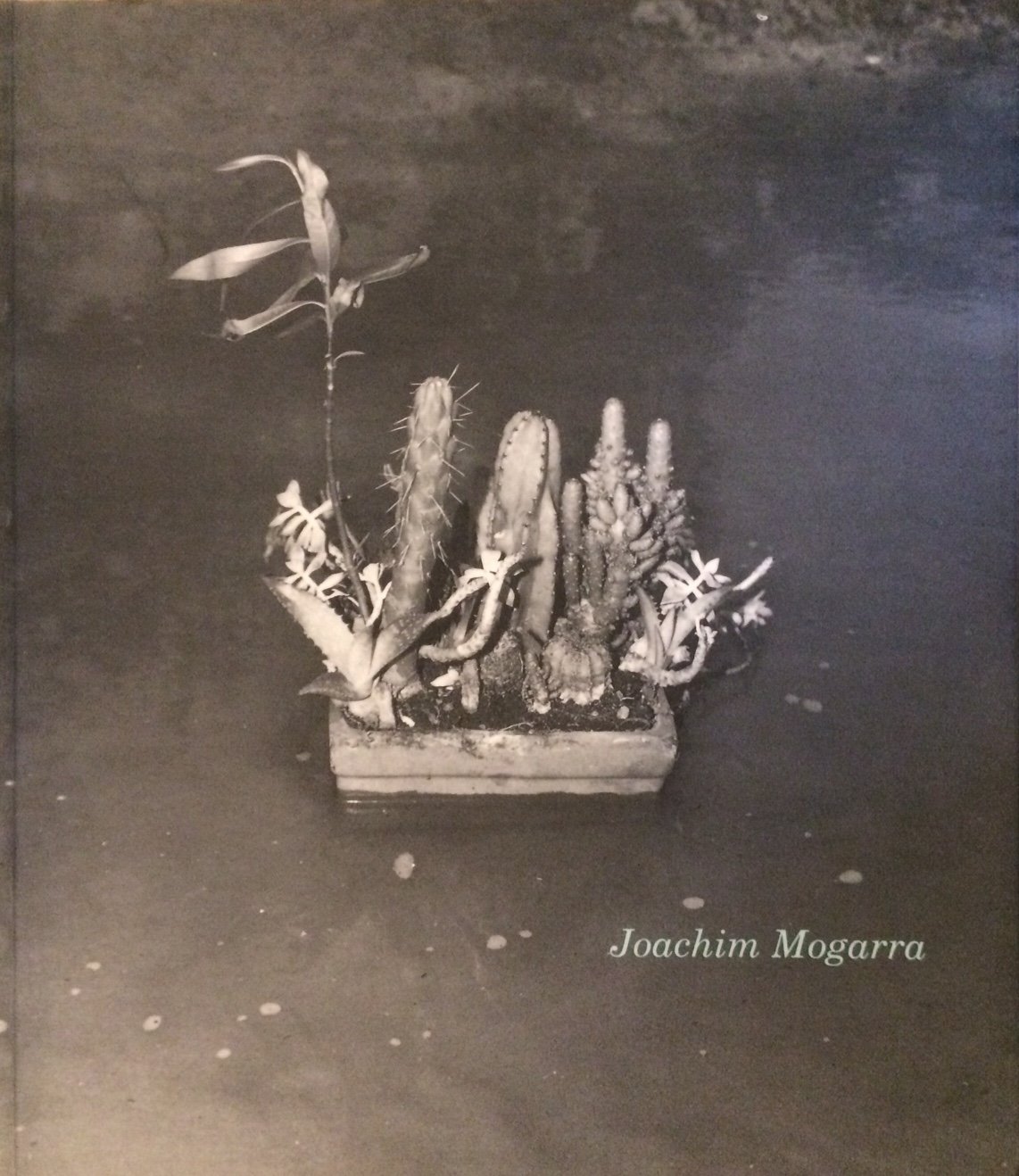 Joachim Mogarra 1981-1993: Joachim and Dominique Laporte et al. Mogarra ...