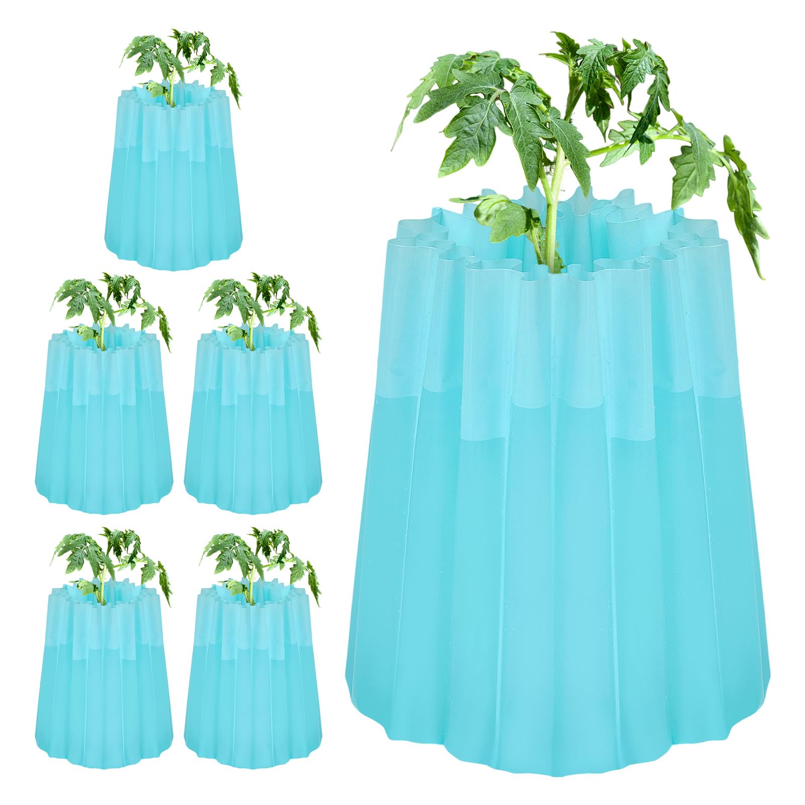 Amazon.com : Geetery 6 Pcs Gardener Insulating Plant Protector Early ...