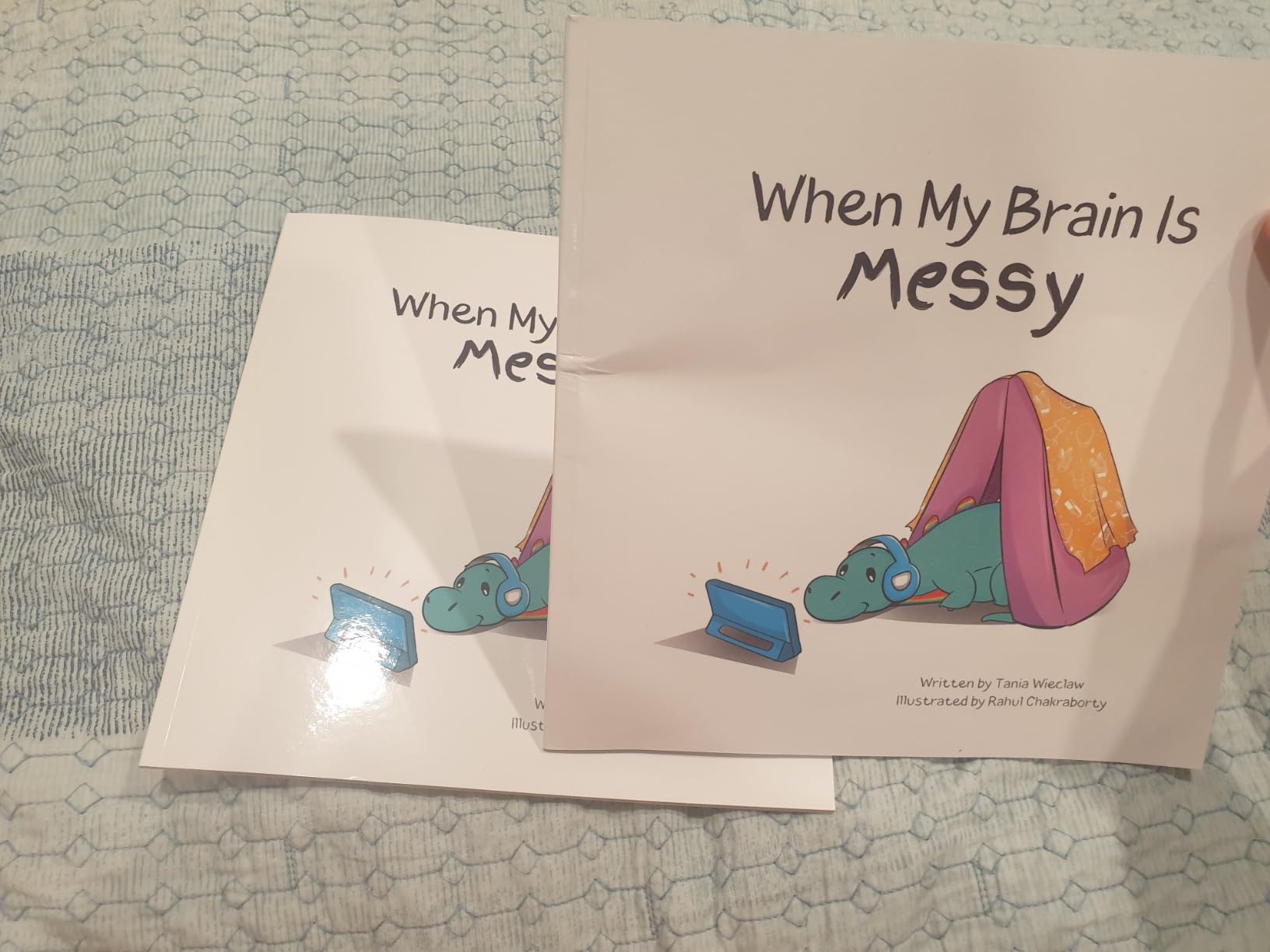 When My Brain Is Messy: 1 : Wieclaw, Tania, Chakraborty, Rahul: Amazon ...