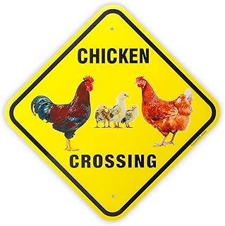 Why Did The Chicken Cross The Road? | CyChicken