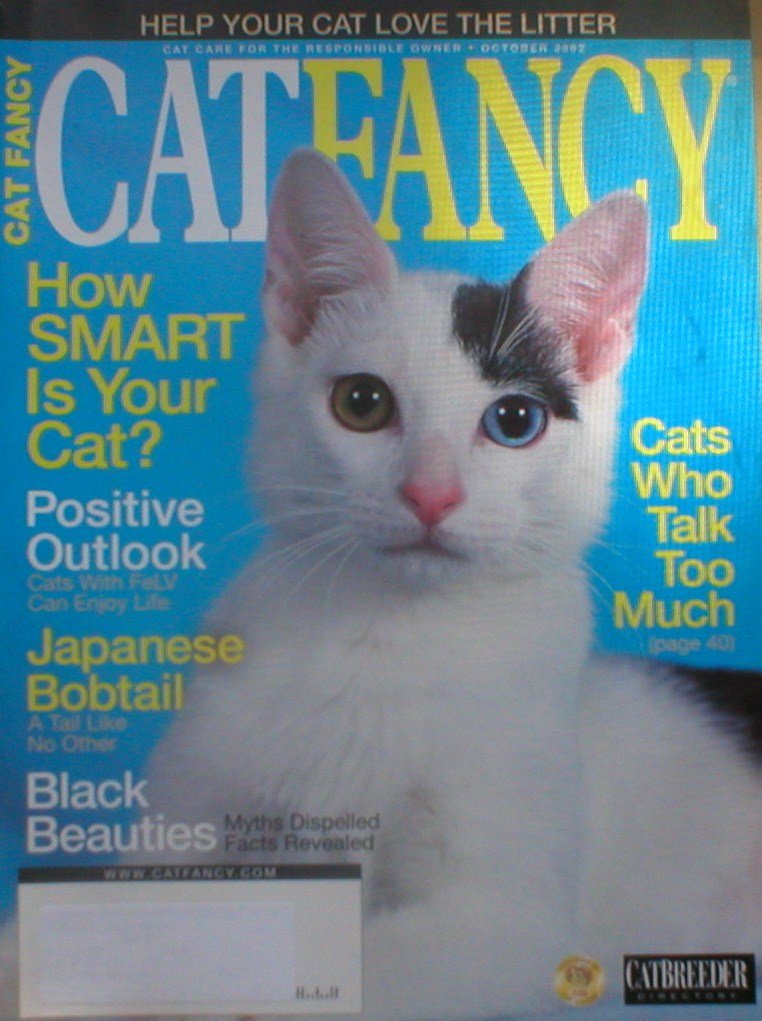 Cat Fancy Magazine October 2002 Japanese Bobtail: Cat Fancy: Amazon.com ...