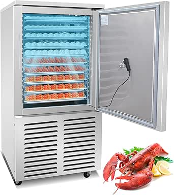 Amazon.com: Kolice Commercial Heavy Duty 10 Trays Shock Freezing Blast ...