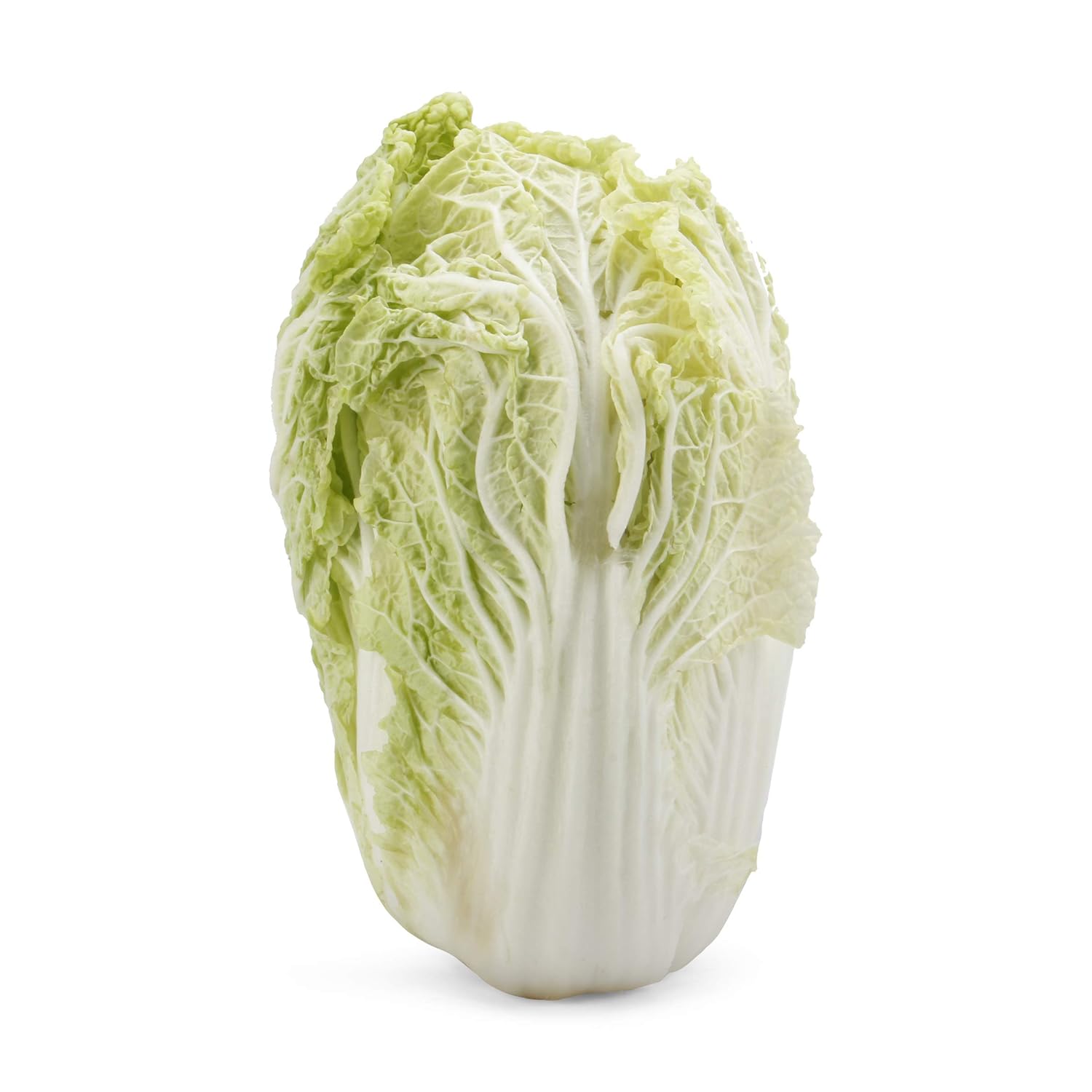 Amazon.com: Produce Napa Cabbage, 1 Each : Grocery & Gourmet Food