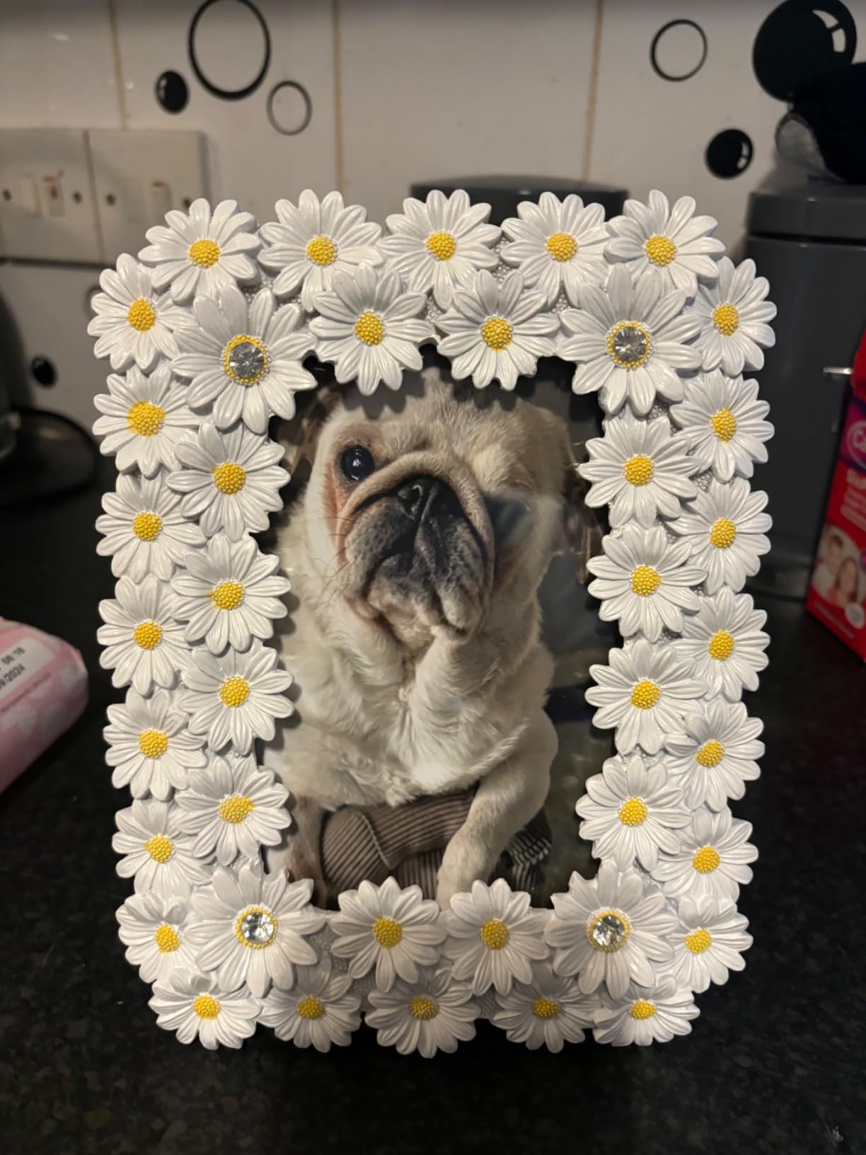 Impressions White Resin Daisy Photo Frame 4" x 6" FR49846 : Amazon.co ...