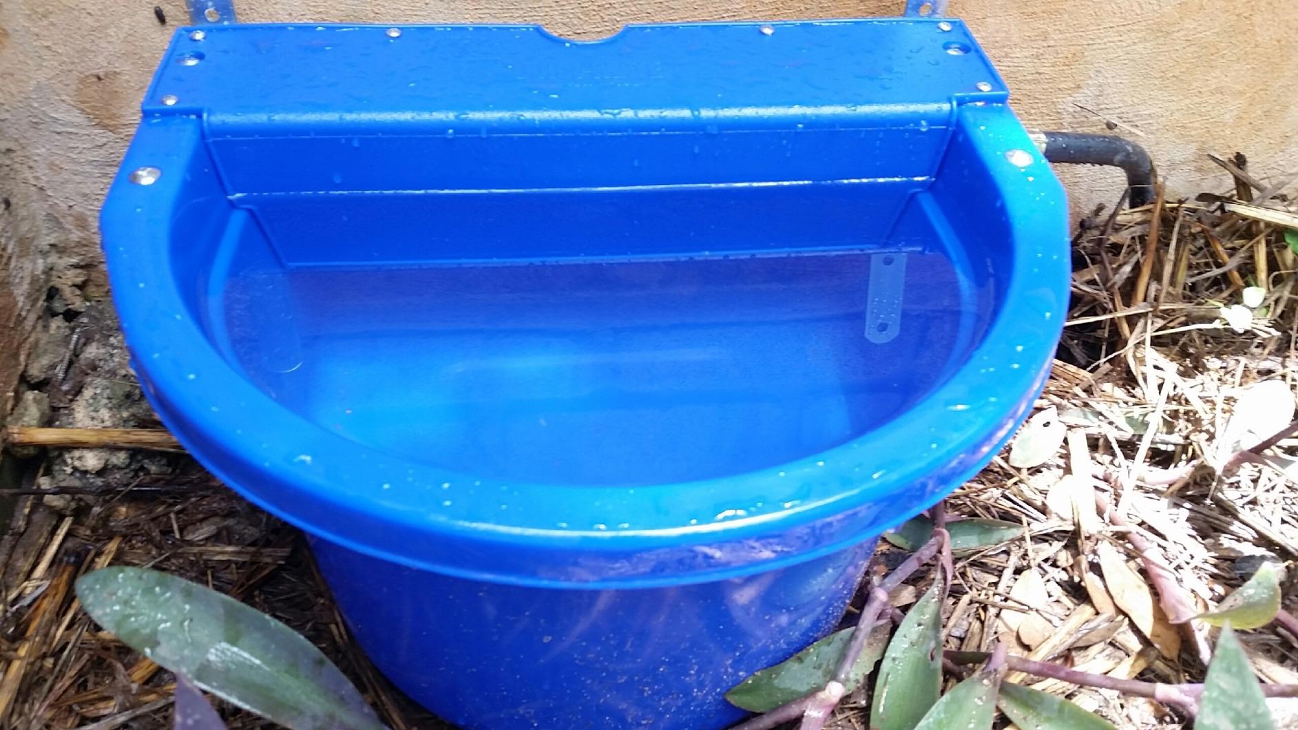$11/mo - Finance Little Giant® Automatic Animal Waterer | Float ...