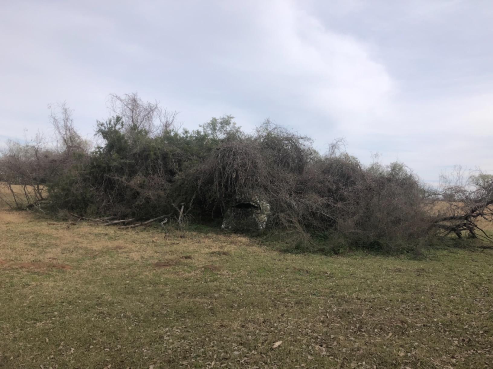 Amazon.com : Primos Double Bull Shack Attack Ground Blind, Truth Camo ...