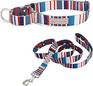 Amazon.com : Lucky Love Dog Leash & Martingale Collar Set, Striped Dog ...