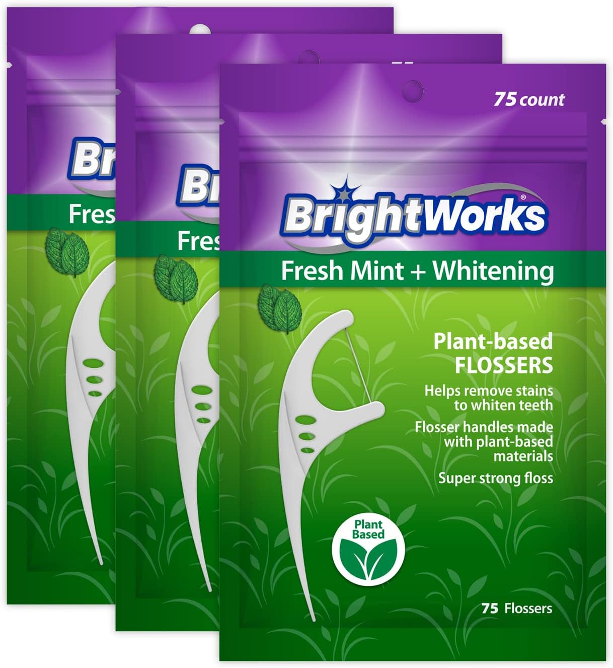 Amazon.com : 225 Piece BrightWorks Fresh Mint + Whitening Dental ...