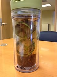 Amazon.com: Aladdin Perfect Cup Tea Infuser 12oz, Chai : Home & Kitchen