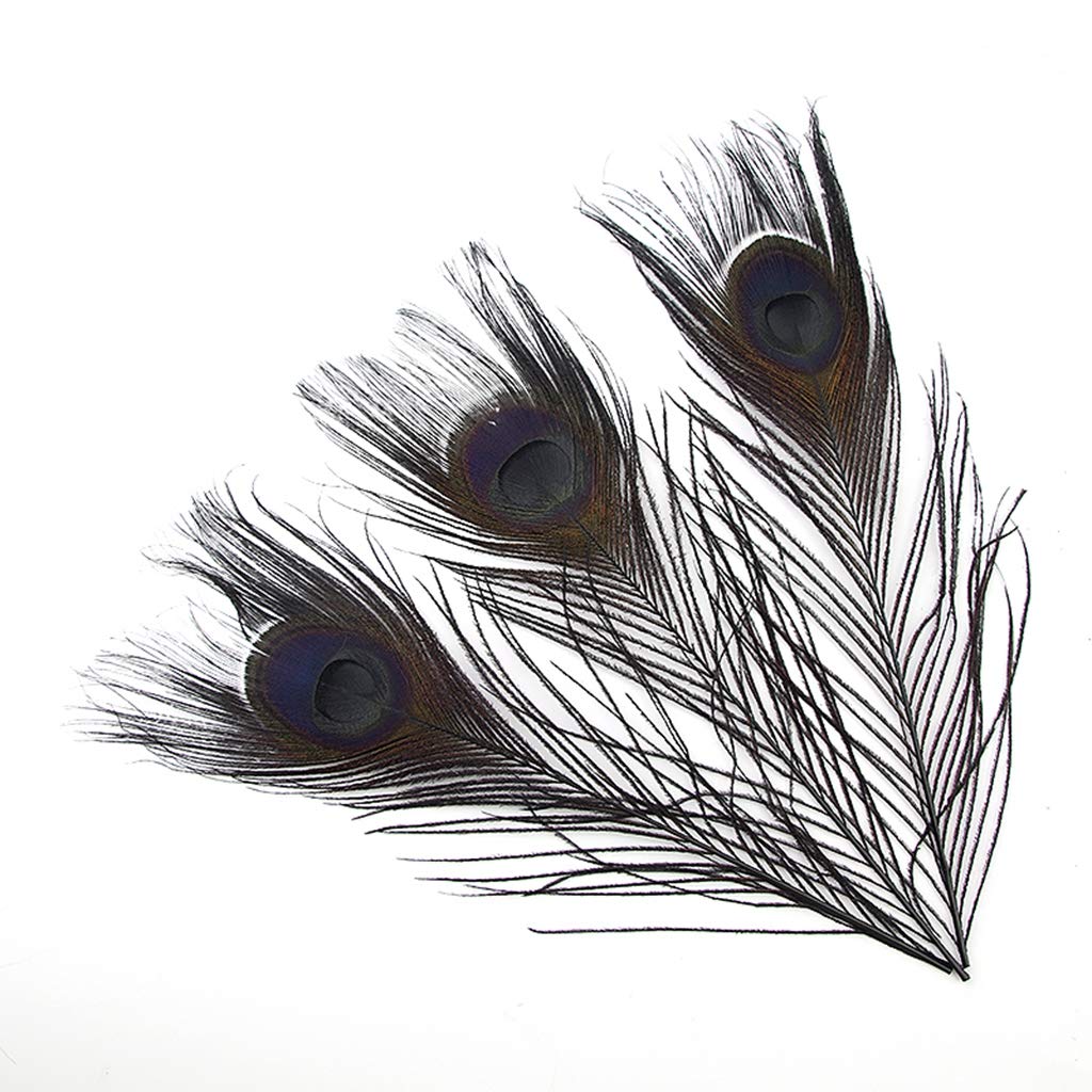 Peacock Feathers Black And White