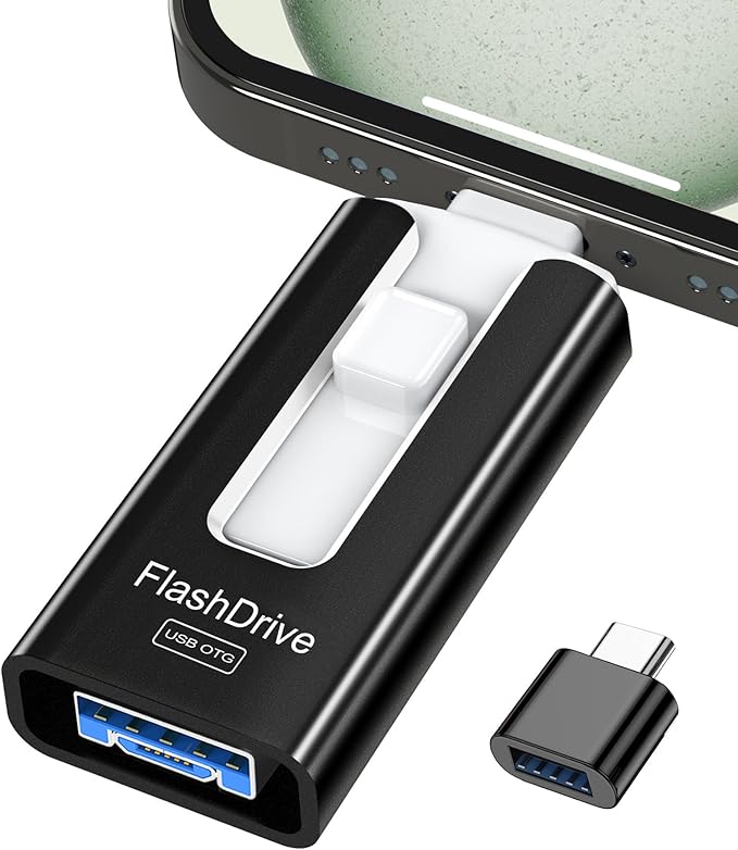 GNASEET USB Stick 256GB for Phone, 4-in-1 Flash Drive for Phone/Pad ...