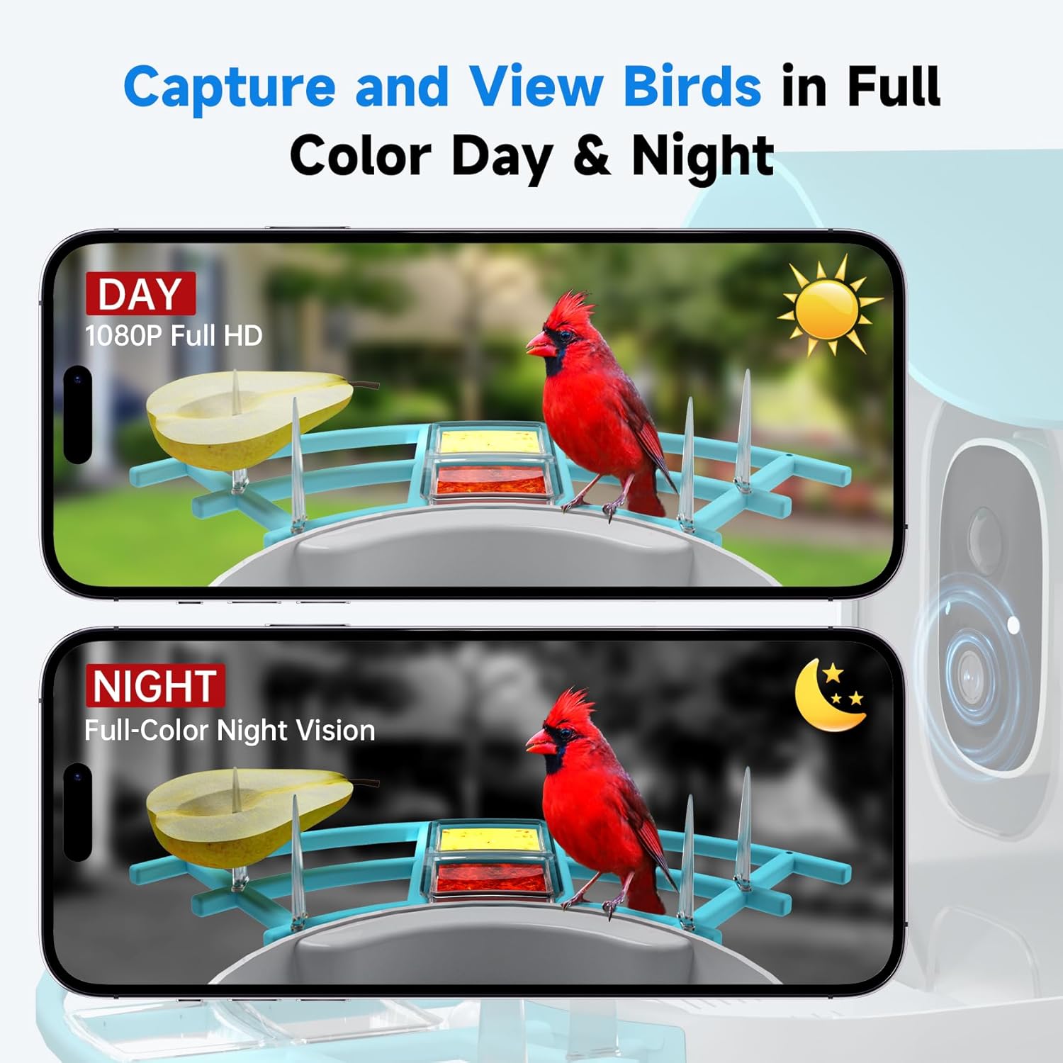 Smart Bird Feeder Camera with AI Identify Bird Species Solar Panel ...