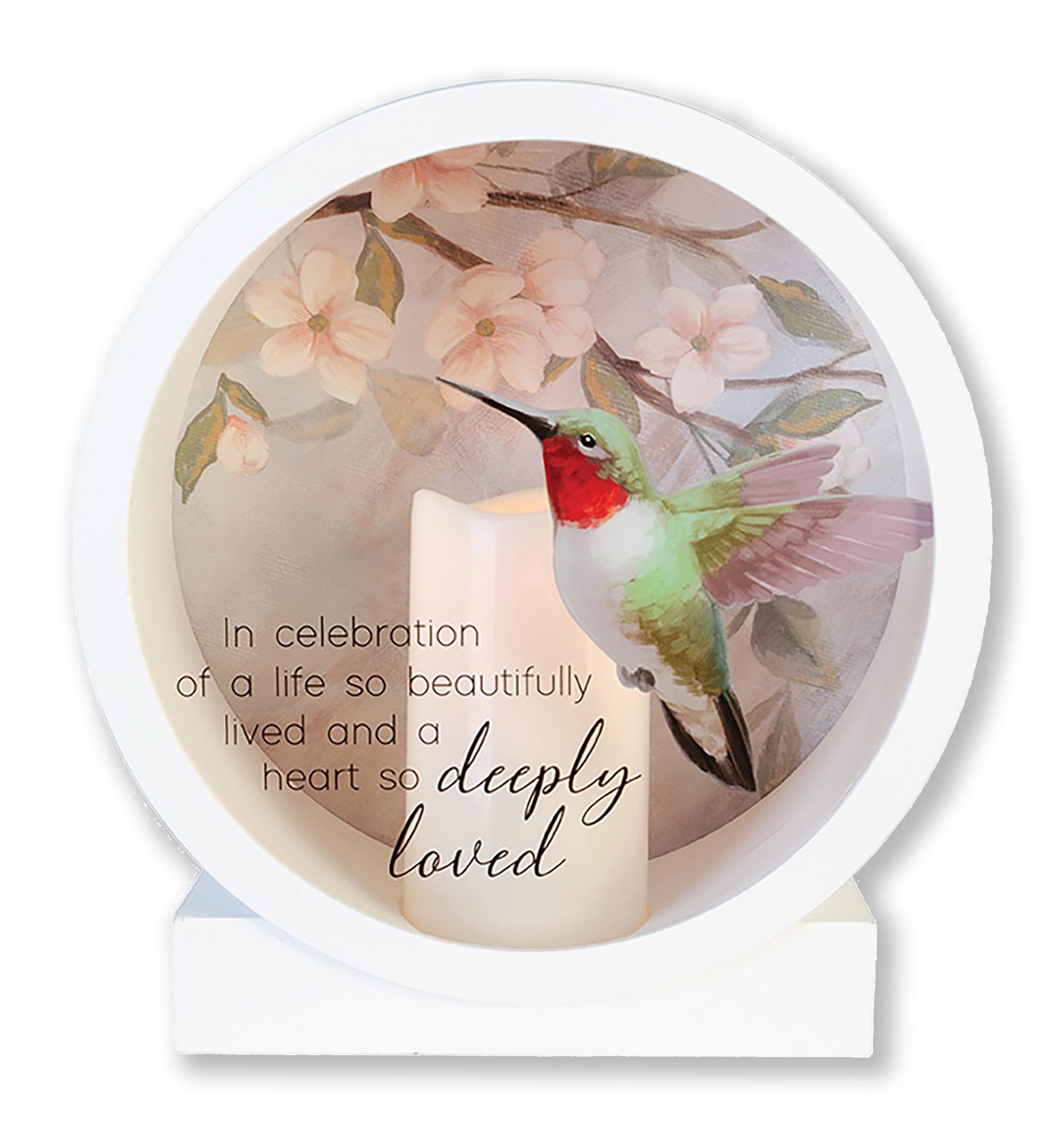 Amazon.com: Carson Memorial Shadow Box Lantern with Flameless LED ...