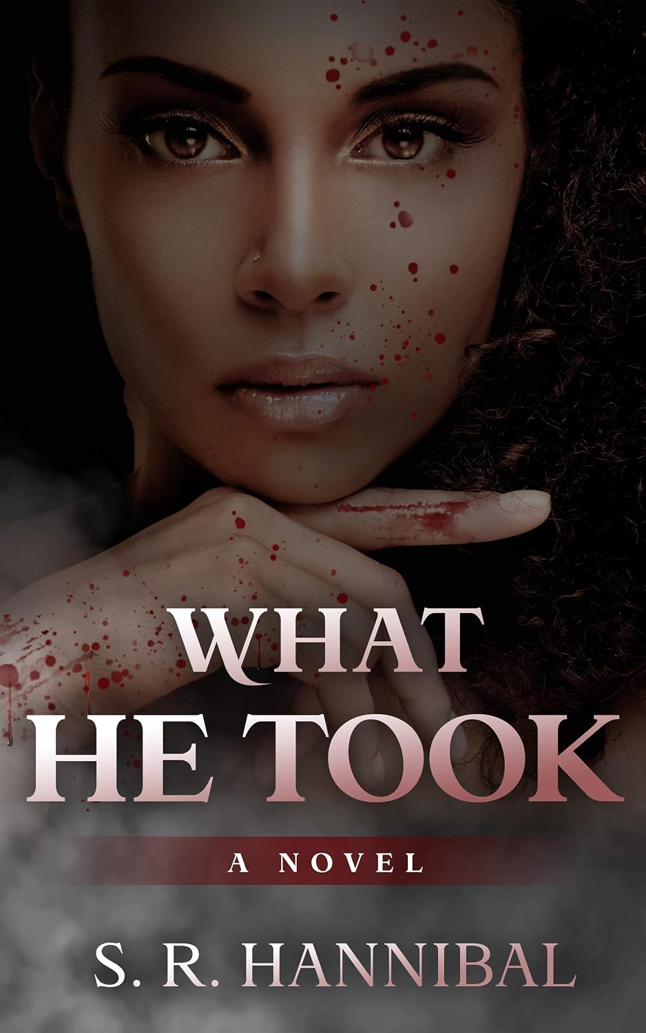 What He Took: A Novel - Kindle edition by Hannibal, Shana. Literature ...