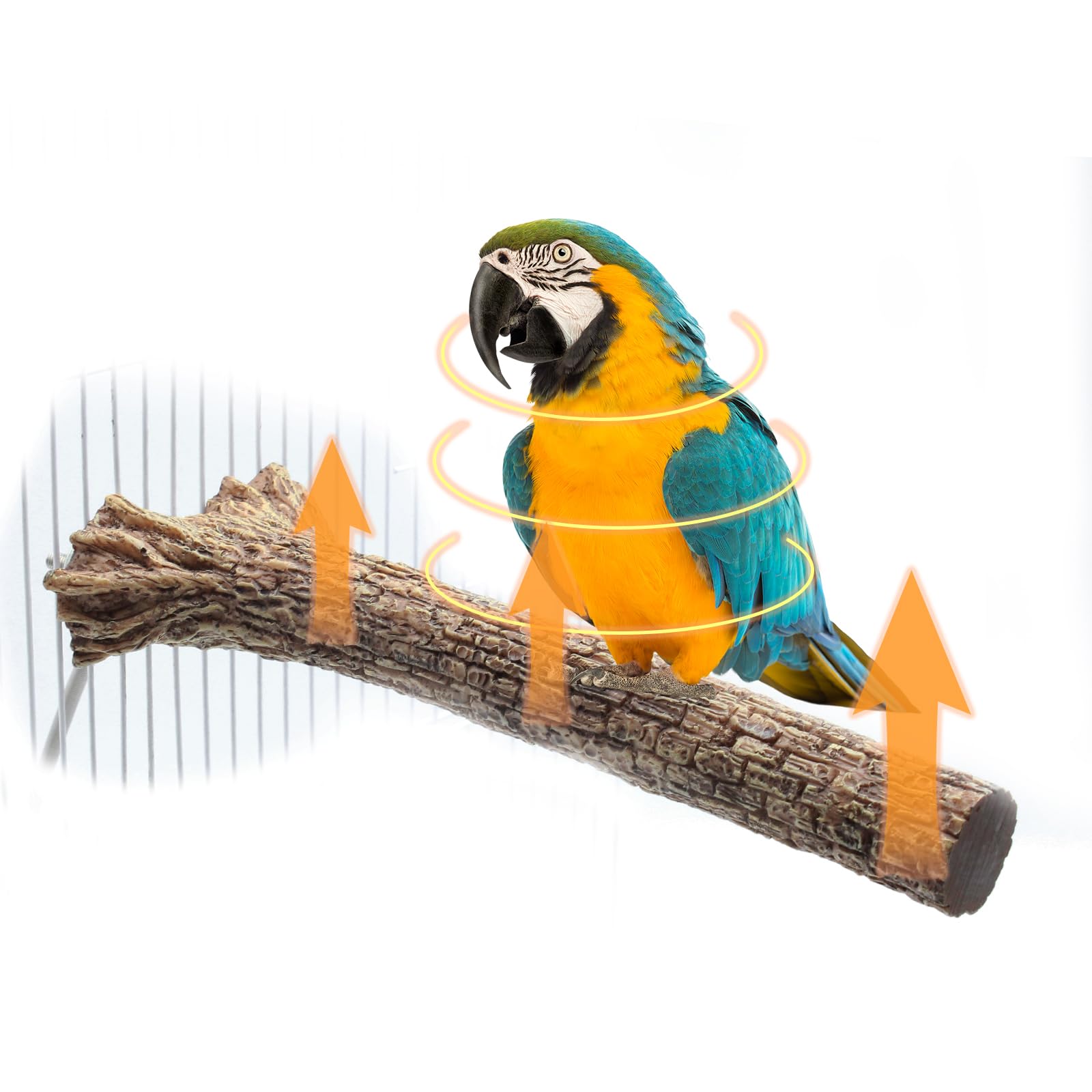 Buy GIFANK Heated Bird Perch for Cage Bird Thermo Perch Adjustable ...