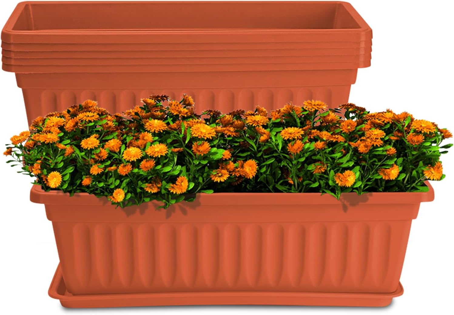 Amazon.com : Beeveer 10 Pcs 20 Inches Rectangular Planters Boxes with ...