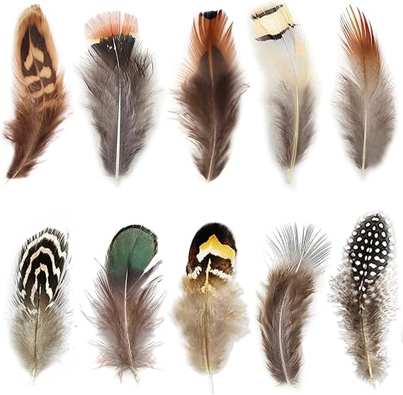 Amazon.com: 300pcs 10 Style Natural Feathers Assorted Mixed Feathers ...