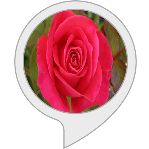 Amazon.com: Rose Facts : Alexa Skills