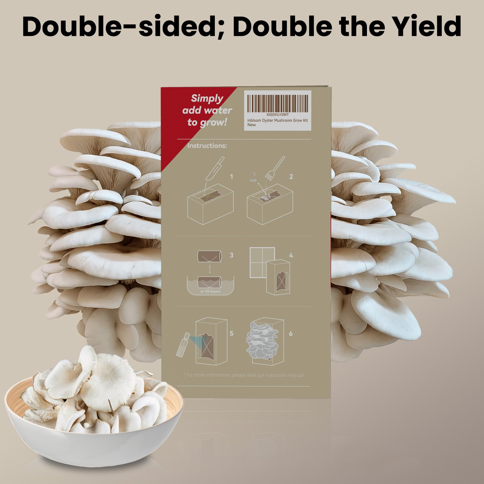 Snapklik.com : Inbloom Large Organic Oyster Mushroom Growing Kit