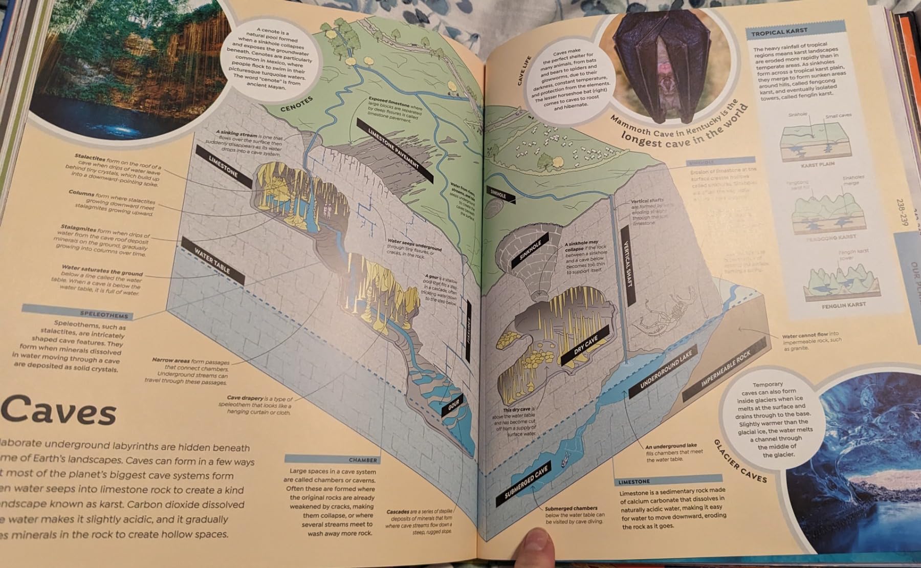 Amazon.com: How Everything Works: From Brain Cells to Black Holes ...