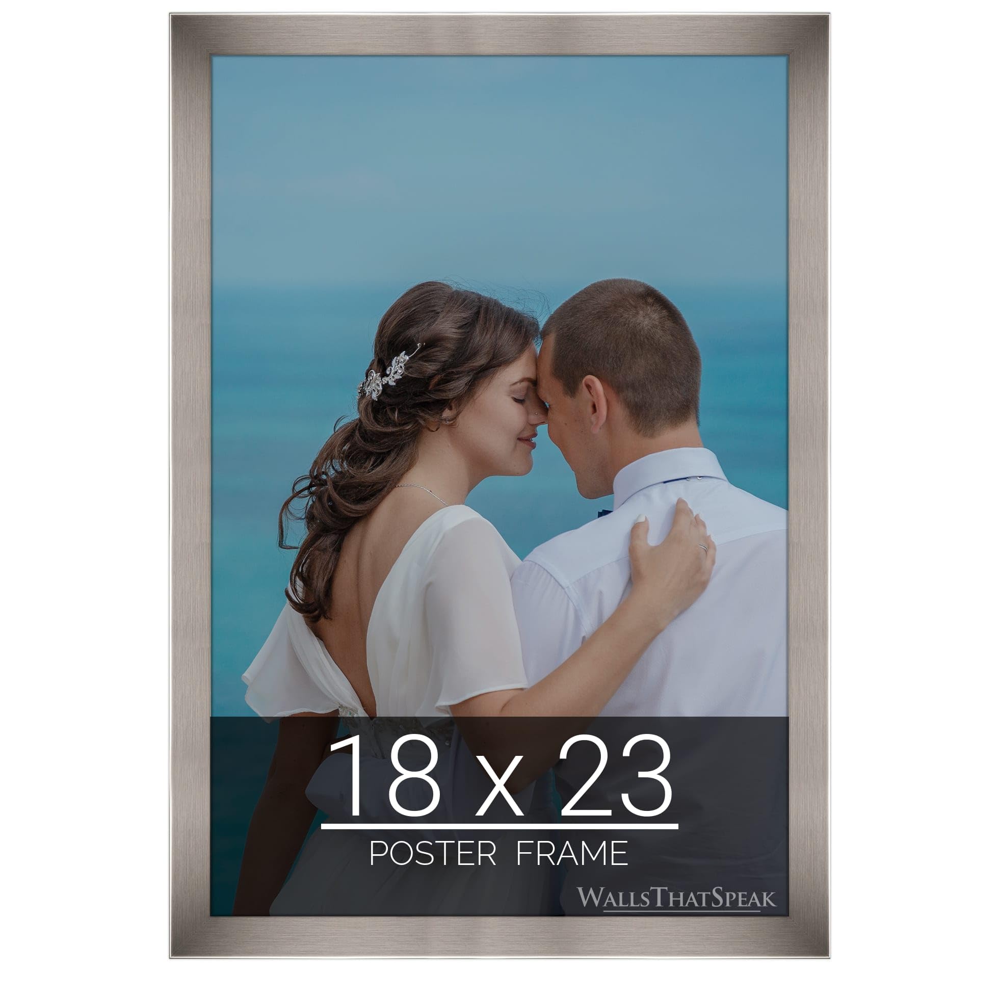 Amazon.com - wallsthatspeak 18x23 Stainless Picture Frame for Puzzles ...