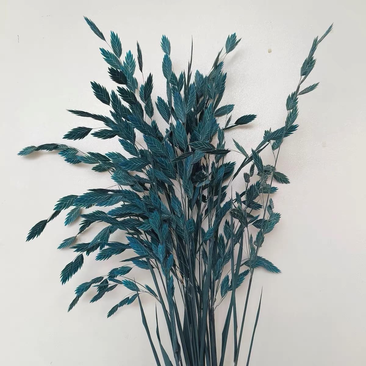 Amazon.com: Dried Grass Bundle, 20 Stems 15-17 Inch Natural ...