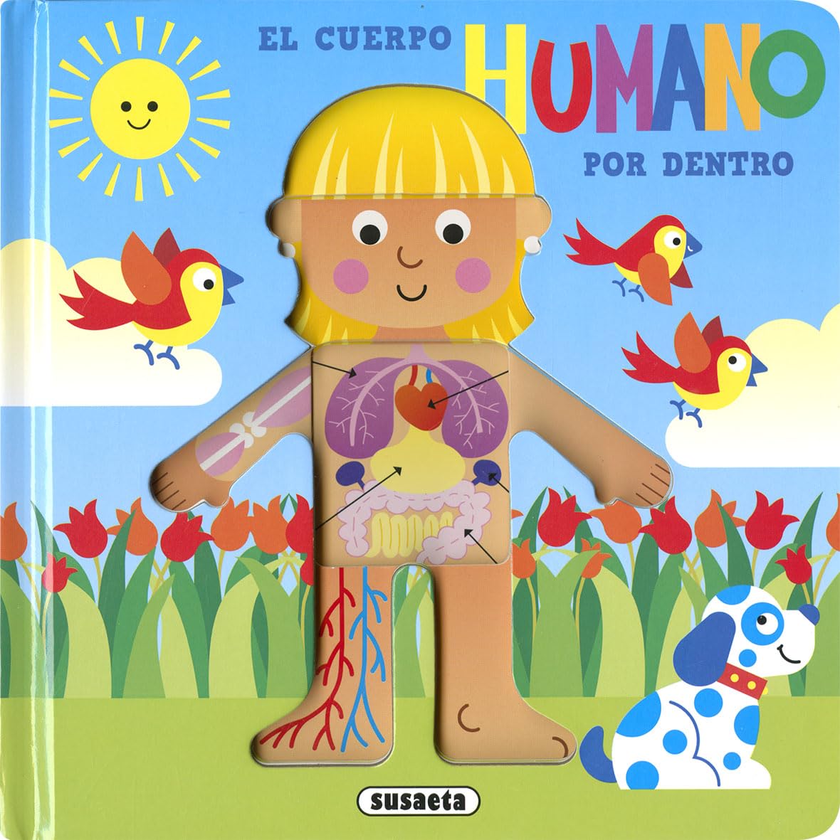 Amazon.com: El cuerpo humano por dentro: 9788411962636: Busquets, Jordi ...