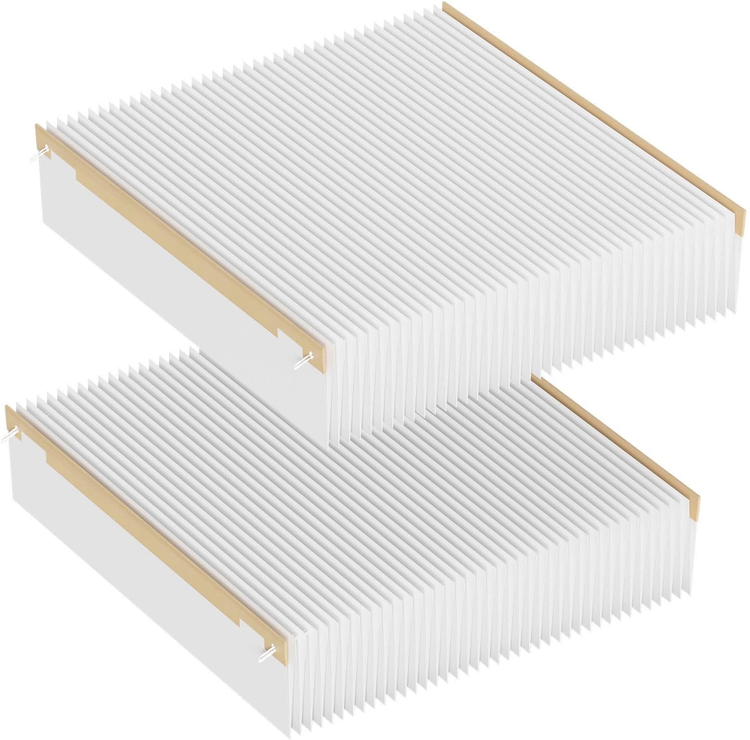 Bryant/Carrier 88NA2506MB01 Replacement Filter, 2-Pack Y - Amazon.com