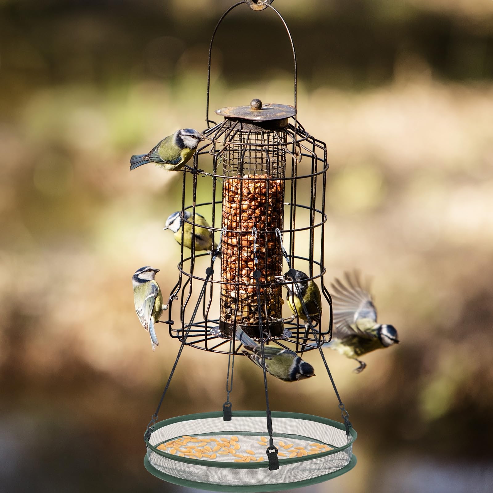Snapklik.com : FoldTier Universal Wild Bird Seed Catcher Hanging Hoop ...