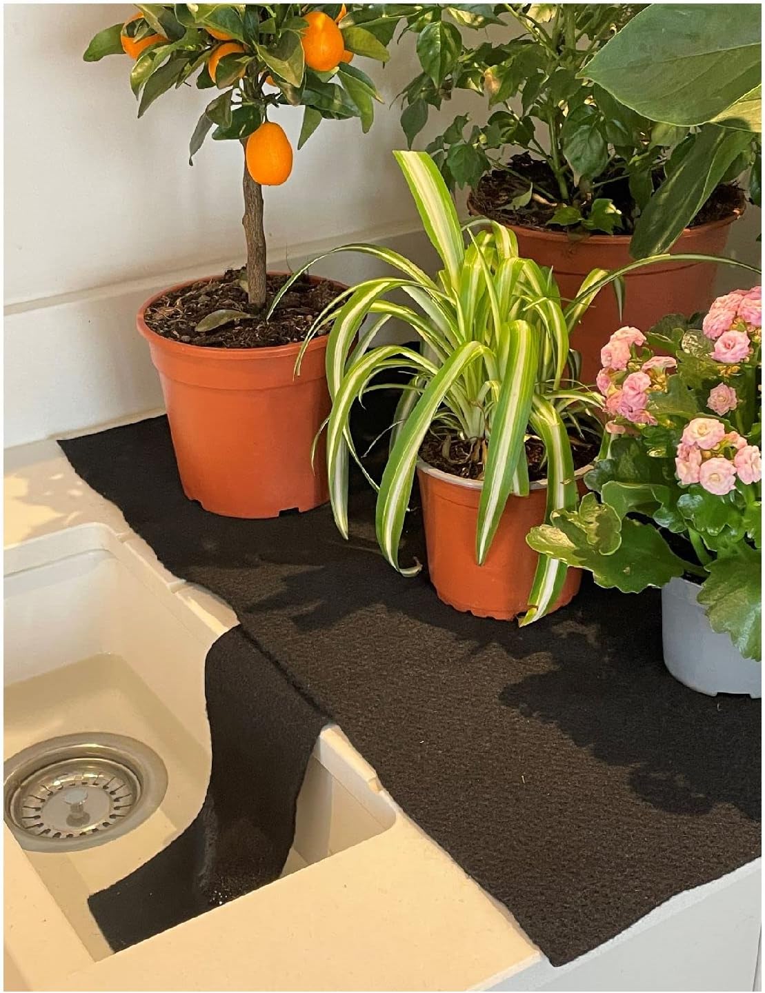 Gardening Naturally Holiday and Greenhouse Watering Professional Grade ...