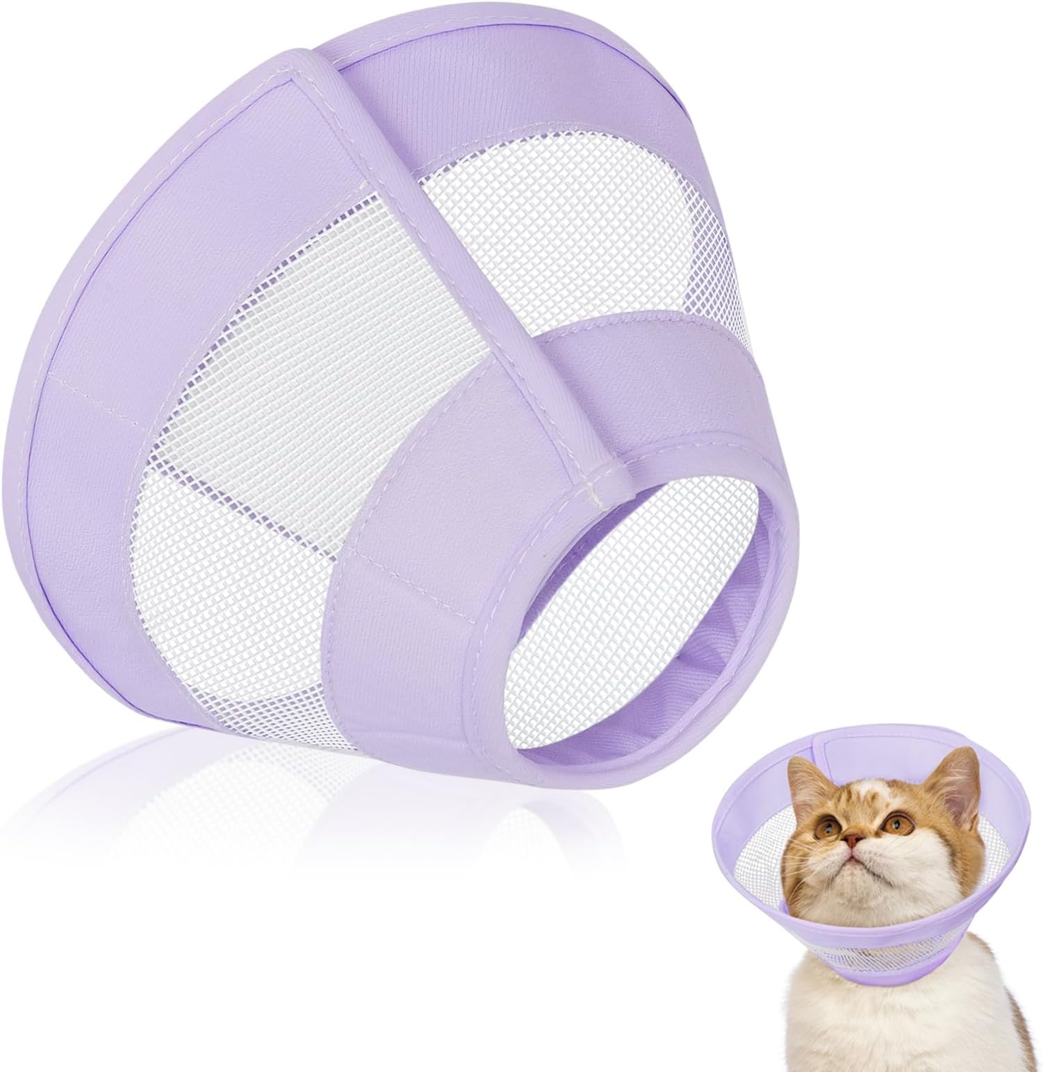 Amazon.com : Cat Cone, Soft Cat Cone Collar to Stop Licking and ...